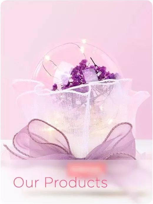 Our Products – Kindori Moments Sdn Bhd (796564-U)